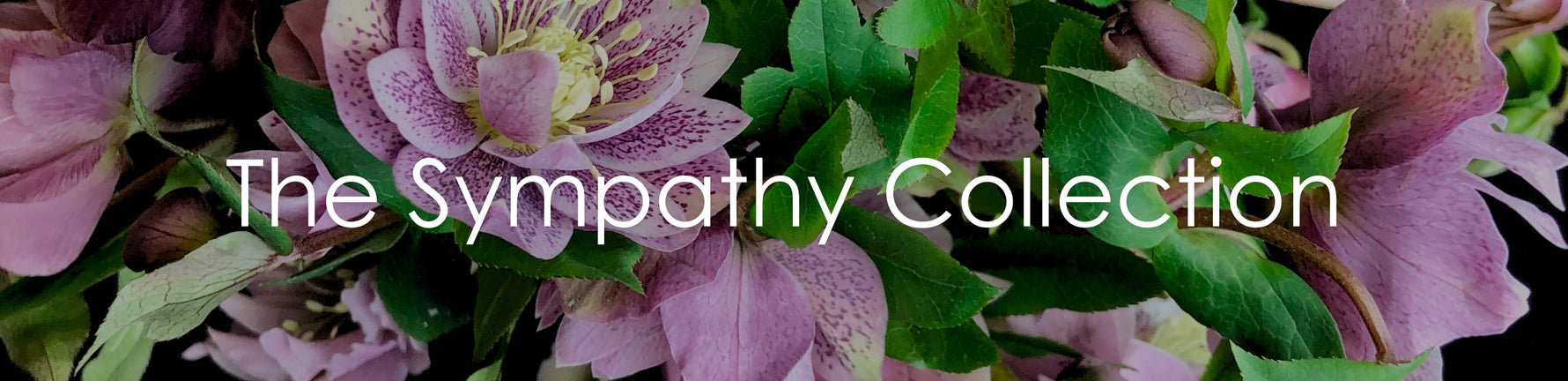 The Sympathy Collection – Twinbrook Floral Design