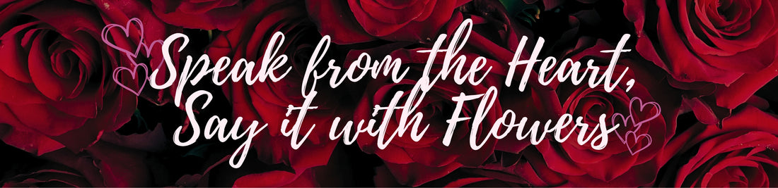 All V-Day Collections – Twinbrook Floral Design